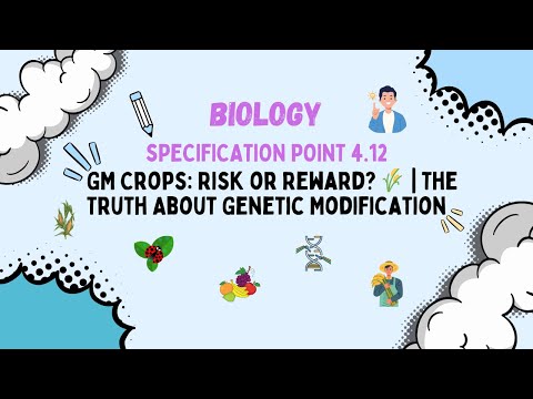 GCSE Biology - Genetic Engineering & Bt Crops Explained