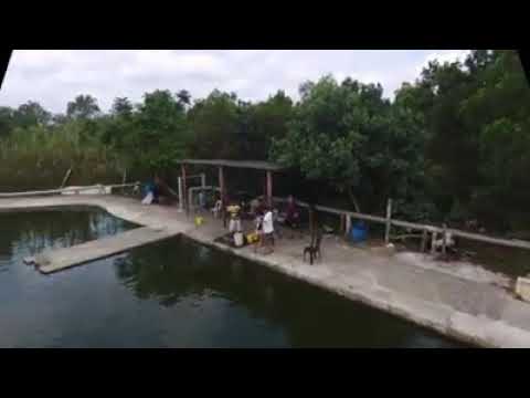 Damai fishing village