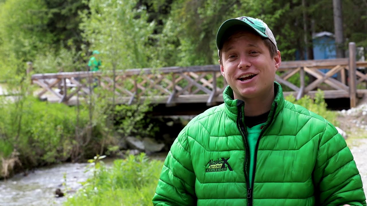 Musher's Camp & Sled Dog Discovery | Shore Excursion | NCL