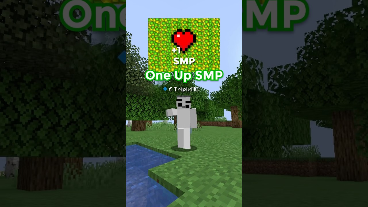 Join THIS Minecraft Server!!  #minecraft #smp #new #small #underrated