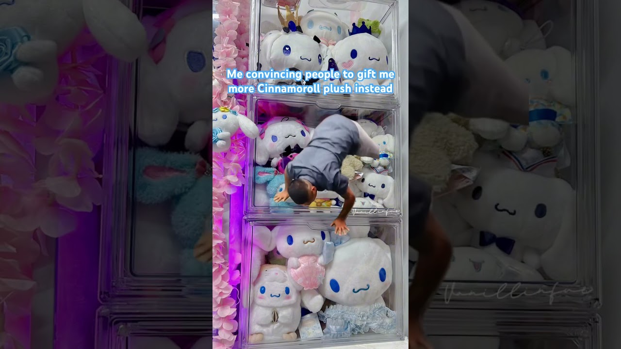 more cinnamoroll plush please #sanrio #cinnamoroll