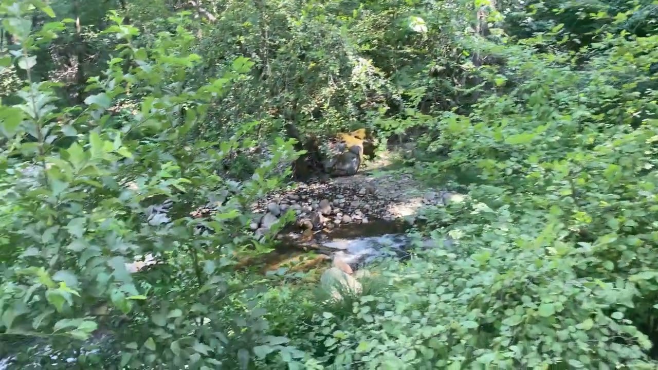 RIVER RANCH CAMPGROUND CAMP SITE TOUR VIDEO