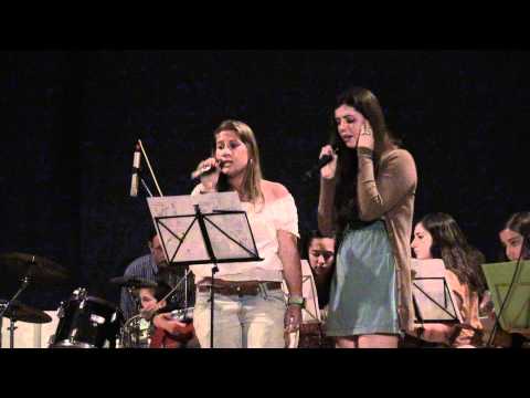 Gotta be somebody - Nickelback ( Cover by Sofia Moura )
