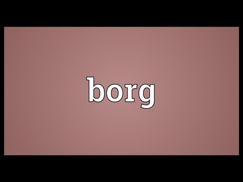 Borg Meaning