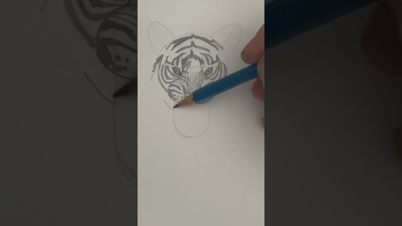 Draw a tiger 🐯  | 60-Second Art Class! #shorts #art #paintingtutorial