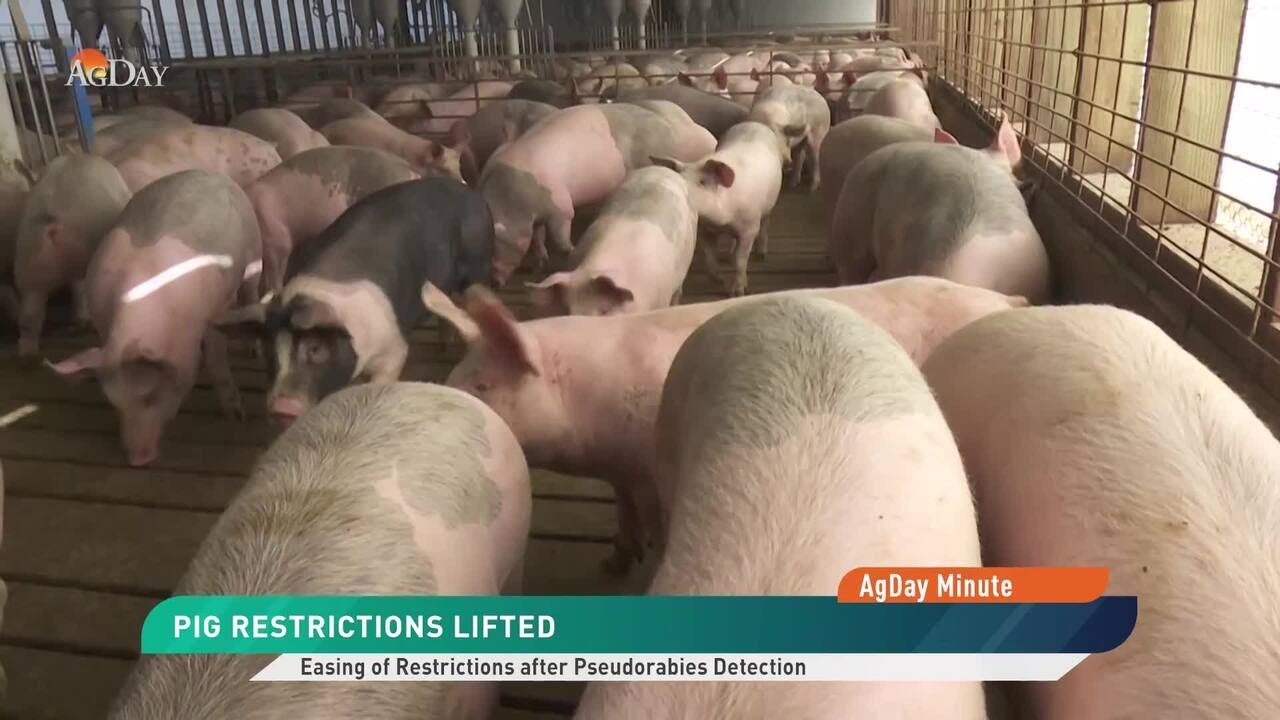 AgDay Minute 05/18/26