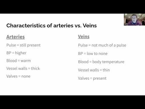 Arterial vs Venous Insufficiency Ulcers - NPTE Prep