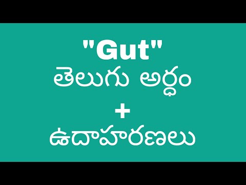 Gut meaning in telugu with examples | Gut తెలుగు లో అర్థం @meaningintelugu