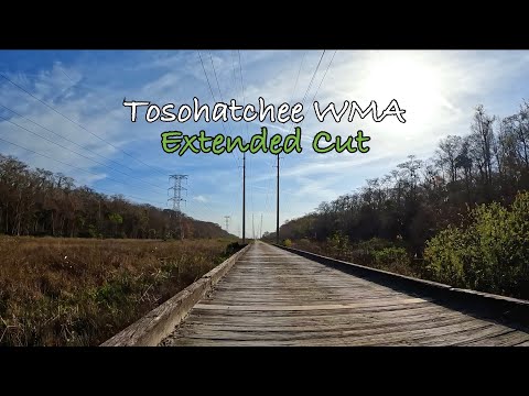 Tosohatchee WMA Bike Ride Extended Cut
