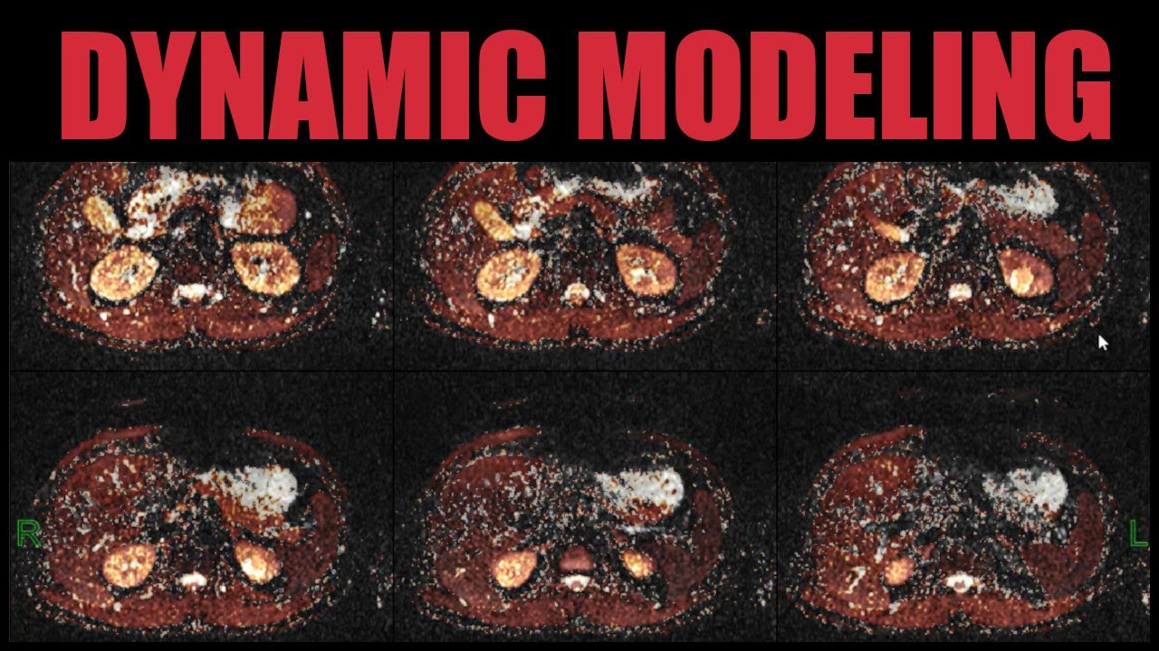 FireVoxel Tutorial 9: Introduction to Dynamic Modeling