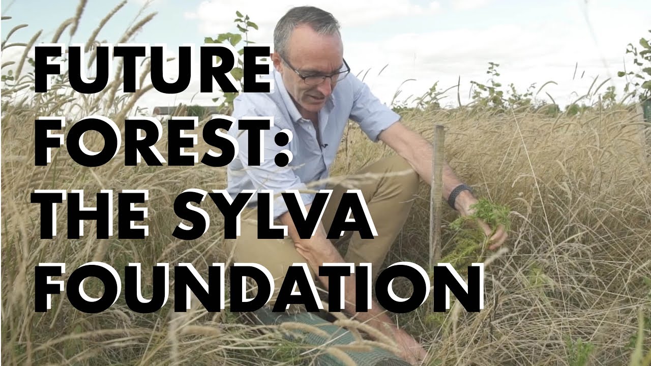 Future Forest: The Sylva Foundation