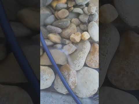 Rock over Mulch any day #gardening #plant #diy #Lawncare #landscaping