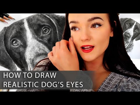 How to Draw Dog's Eyes in Graphite Pencils