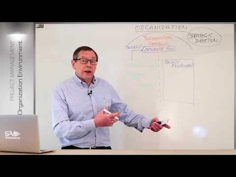 Project Management: A look at the Organizational Environment - Operations (BAU) and Project