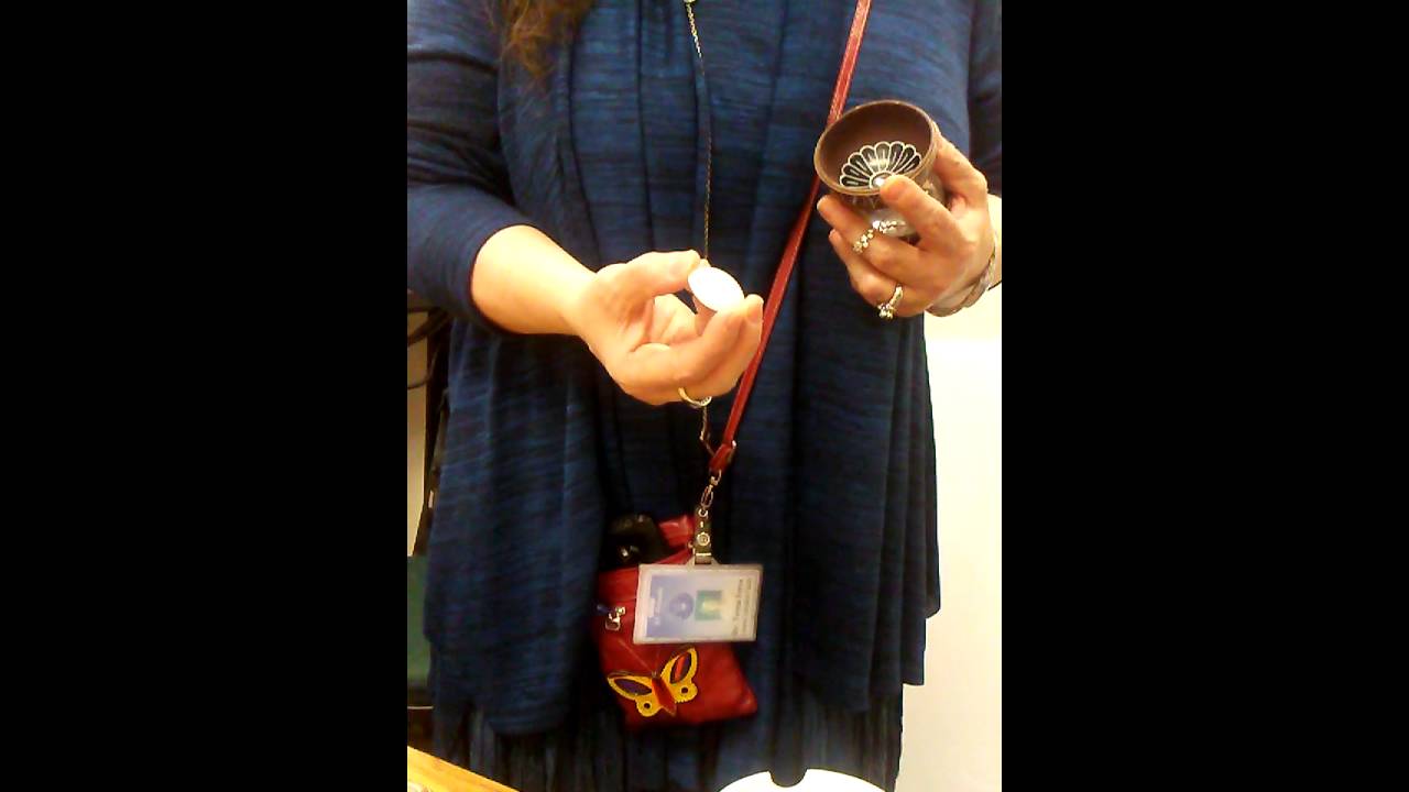Dr.Ferro A&P II lab practical 1 eye