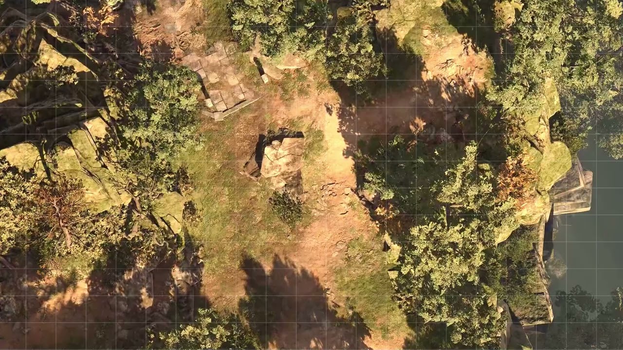 Forest | D&D Animated Battle Maps (BG3)