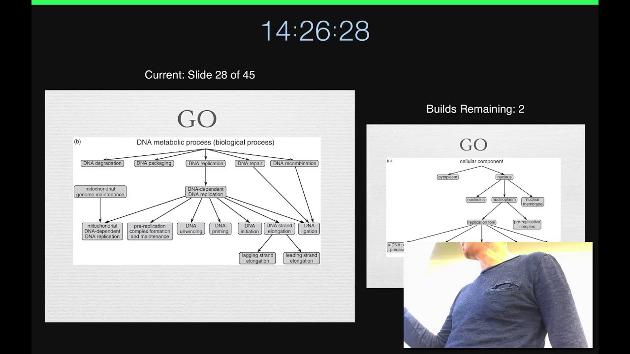 Databases in Bioinformatics (second hour)
