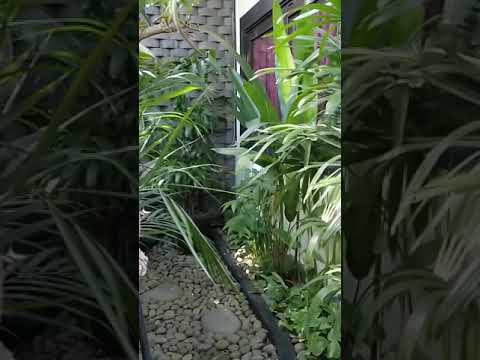 Dream Villa Bali Seminyak