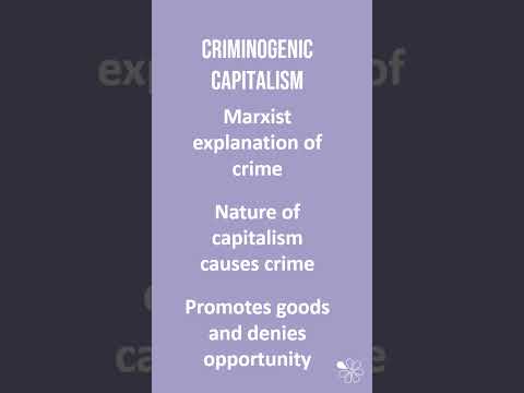 Criminogenic Capitalism | 60 Second Sociology (Crime and Deviance)