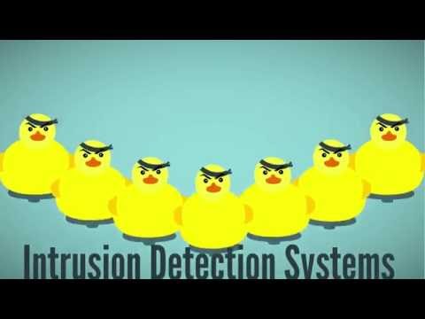 Intrusion Detection Systems