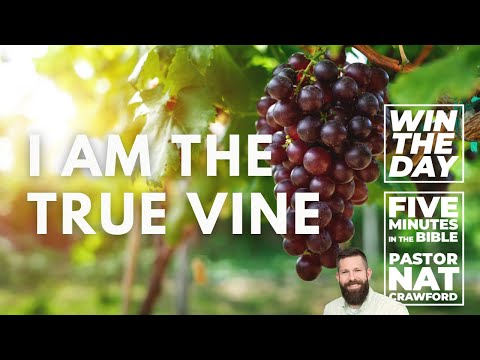 I Am The True Vine - Nat Crawford
