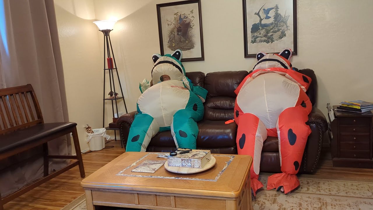 DeHasion Inflatable Frog Costume First Impressions