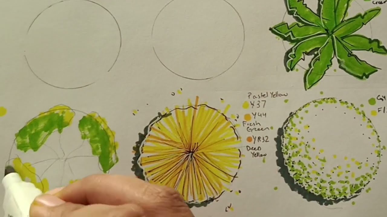 Drawing Tree [Architectural TREES] Tips #drawing