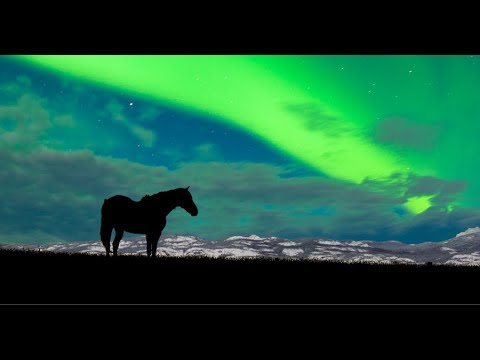 Environmental Education and Indigenous Knowledge