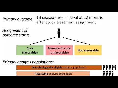 Considerations for the New Four-Month Rifapentine-Moxifloxacin Regimen for Drug-Susceptible TB