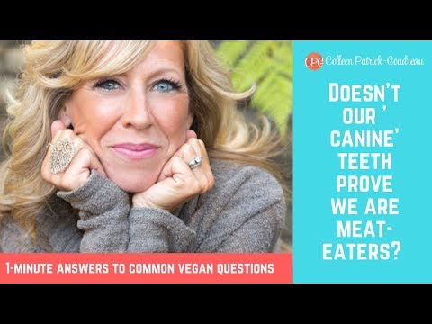 Our Canine Teeth Prove We're Meat-Eaters, Right?