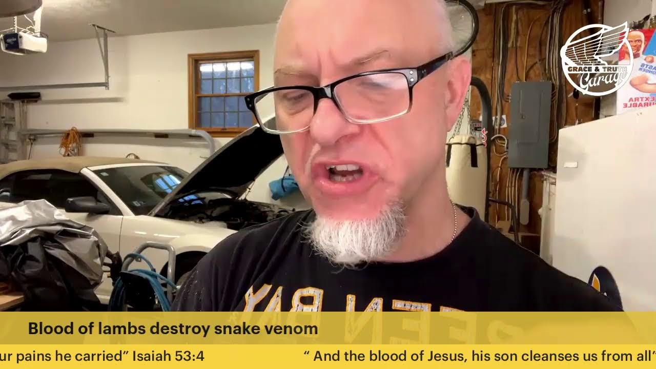 The Surprising Connection Between Sheep Blood and Snake Venom ... The Surprising Connection Between Sheep Blood and Snake Venom ...