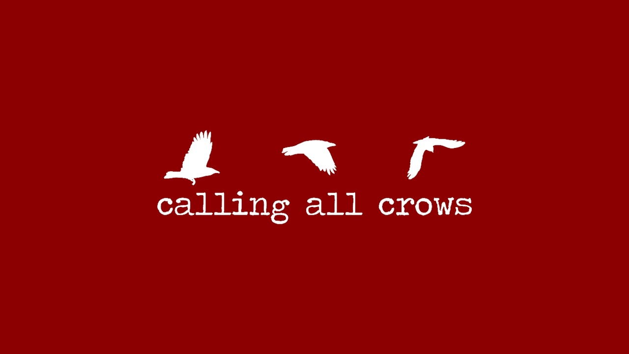 Women's History Month Livestream - Calling All Crows x The Resilient Sisterhood Project