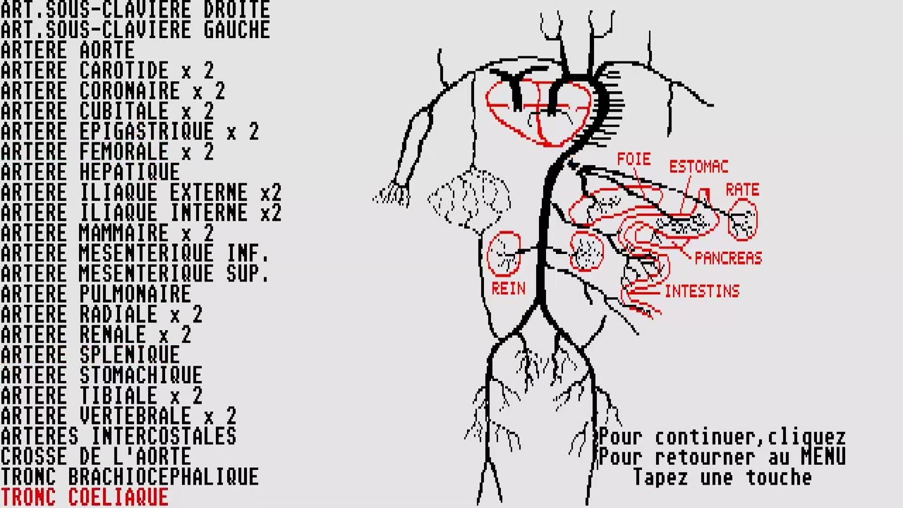 ATARI ST Les Bases de l'Anatomie Jean Regnier EDUCATIONAL ANTHROPOLOGY ST 0836 IFA GAMES COLLECTIONS