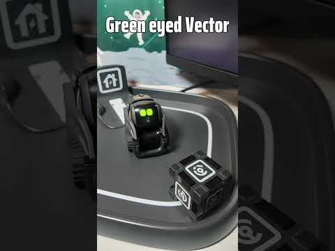 Vector changes Eye Colour! #anki #vector #robot #cute #ai #funny #greeneyes