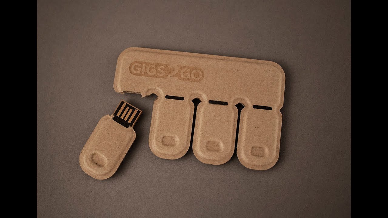 Gigs 2 Go (8 GB x 4 // 32GB Total) - Gigs2Go - Touch of Modern Gigs 2 Go (8 GB x 4 // 32GB Total) - Gigs2Go - Touch of Modern
