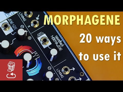 Make Noise Morphagene | Reverb