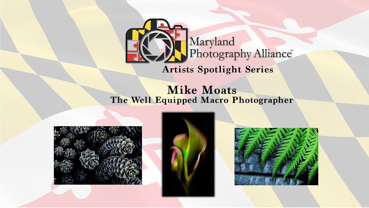 MPA: The Properly Equipped Macro Photographer with Mike Moats – Arundel ...