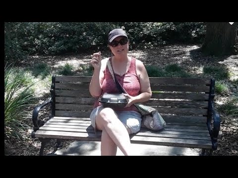 ME Forest Gump Bench🍫 (Life is like..., Mandela Effect)
