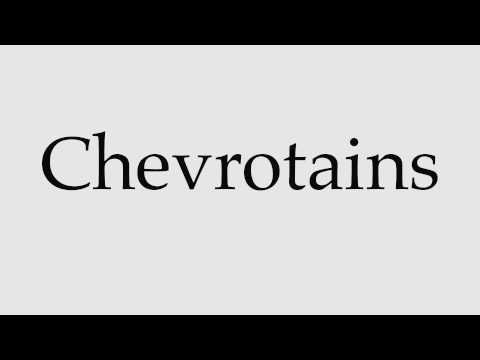 How to Pronounce Chevrotains