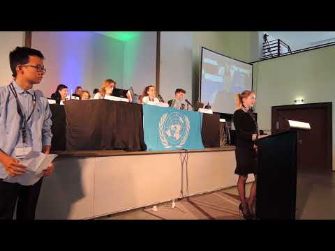 Iraq's opening speech BalMUN (IMZMUN)