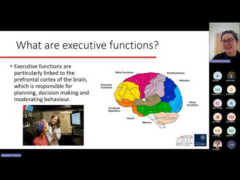 Insight Into Psychology and the Executive Functions of the Brain