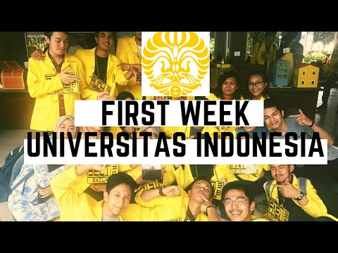My First Month at University of Indonesia