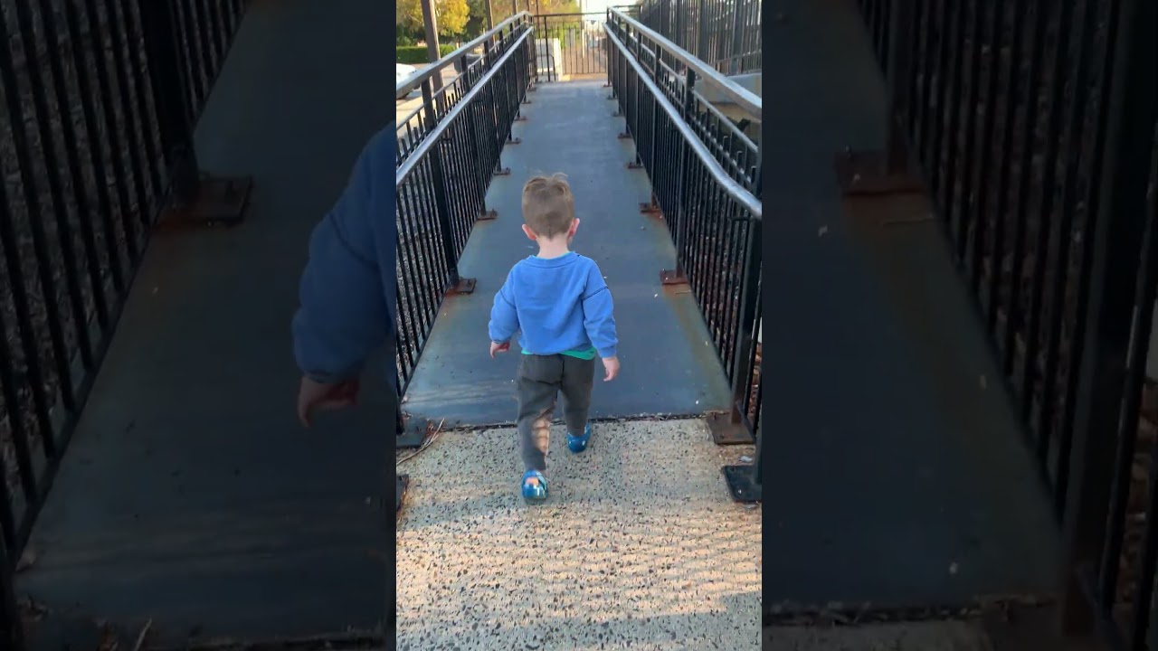 Transportation Module 2 Assignment