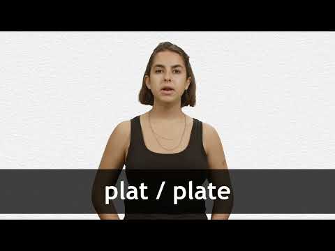 English Translation of “PLAT” | Collins French-English Dictionary