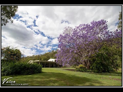 233 Mulgowie Road, Thornton QLD 4341 - House for Sale | Domain