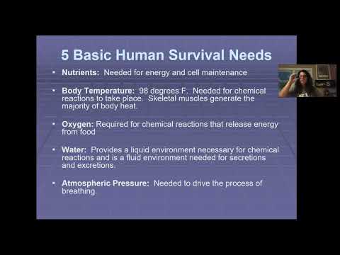 5 basic human survival needs