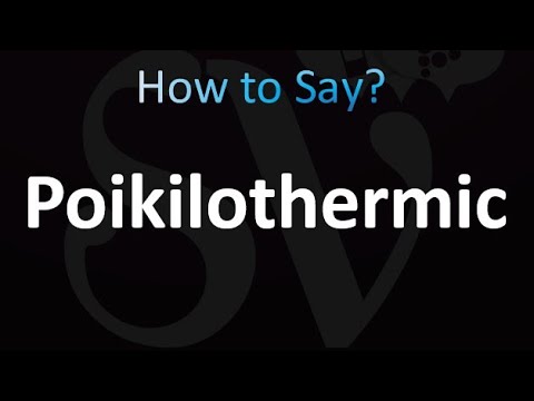 How to Pronounce Poikilothermic (correctly!)