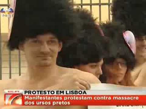 Manifestação – Uso Pele de Urso pela Guarda Britânica | Acção Animal