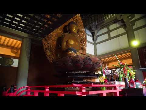 The Byodo-In Temple, Valley of the Temples - Best Memorial Park - Hawaii 2020
