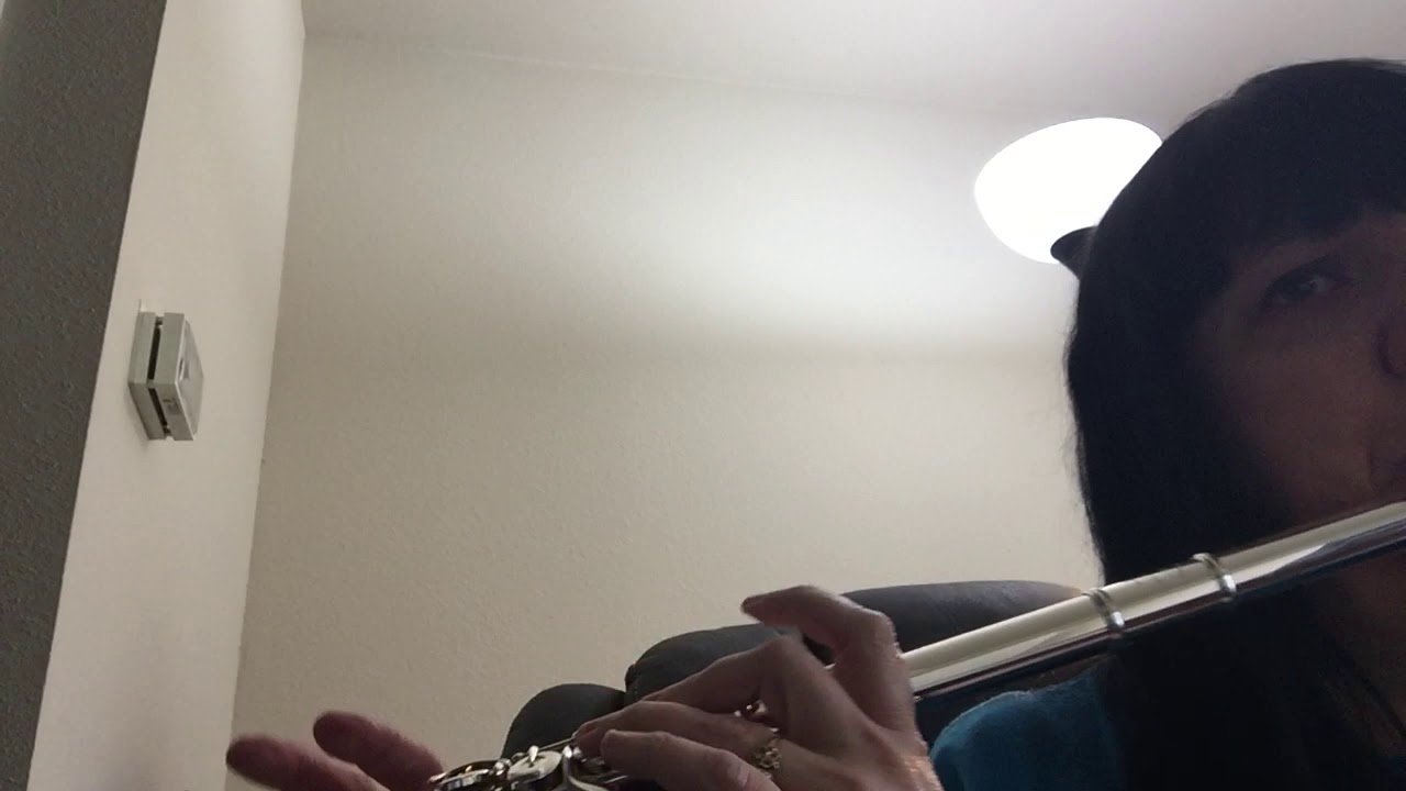 Hire Flute and Piccolo Performer & Instructor - Flute Player in ...